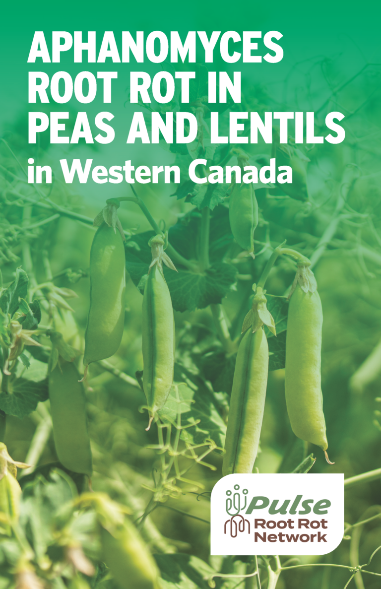 Pea Growth Staging Guide | Saskatchewan Pulse Growers