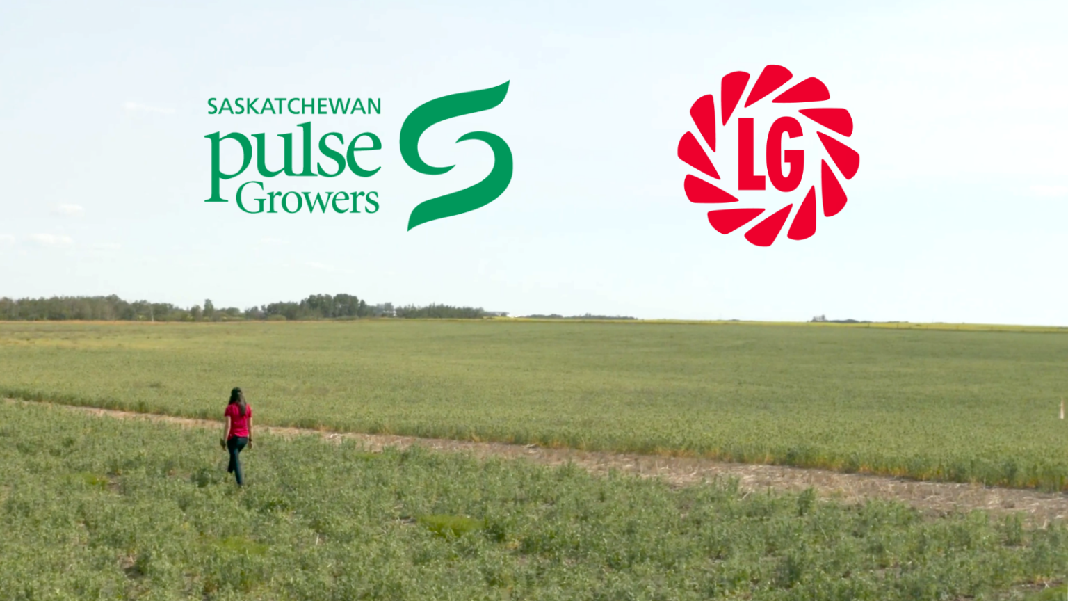 Priorities & Focus of New Pulse Breeding Collaboration from SPG ...