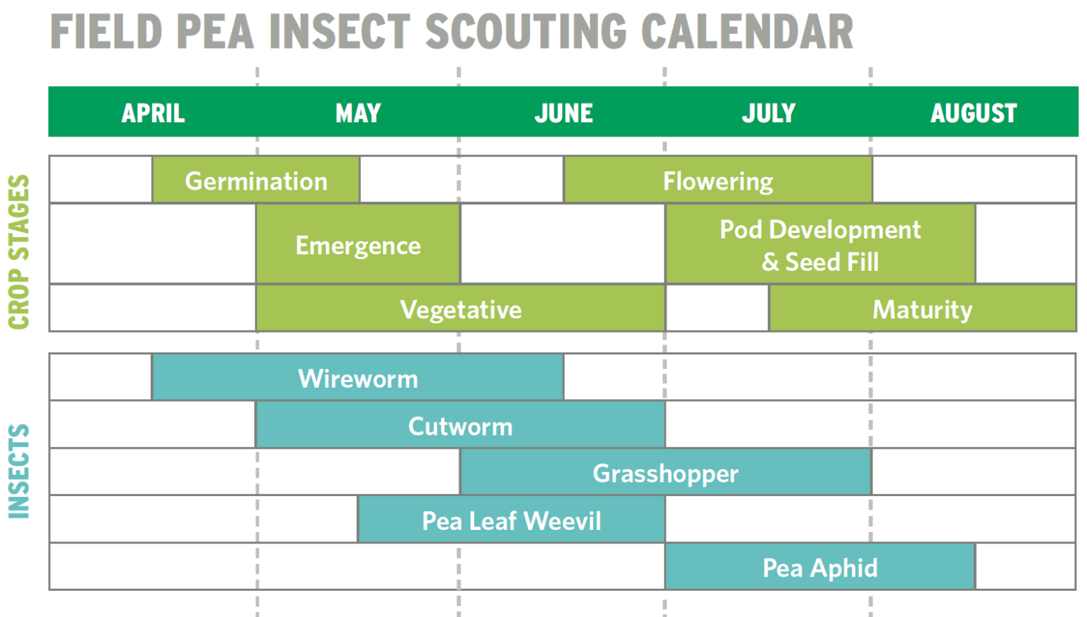 Pea Disease & Insect Identification Guide | Saskatchewan Pulse Growers