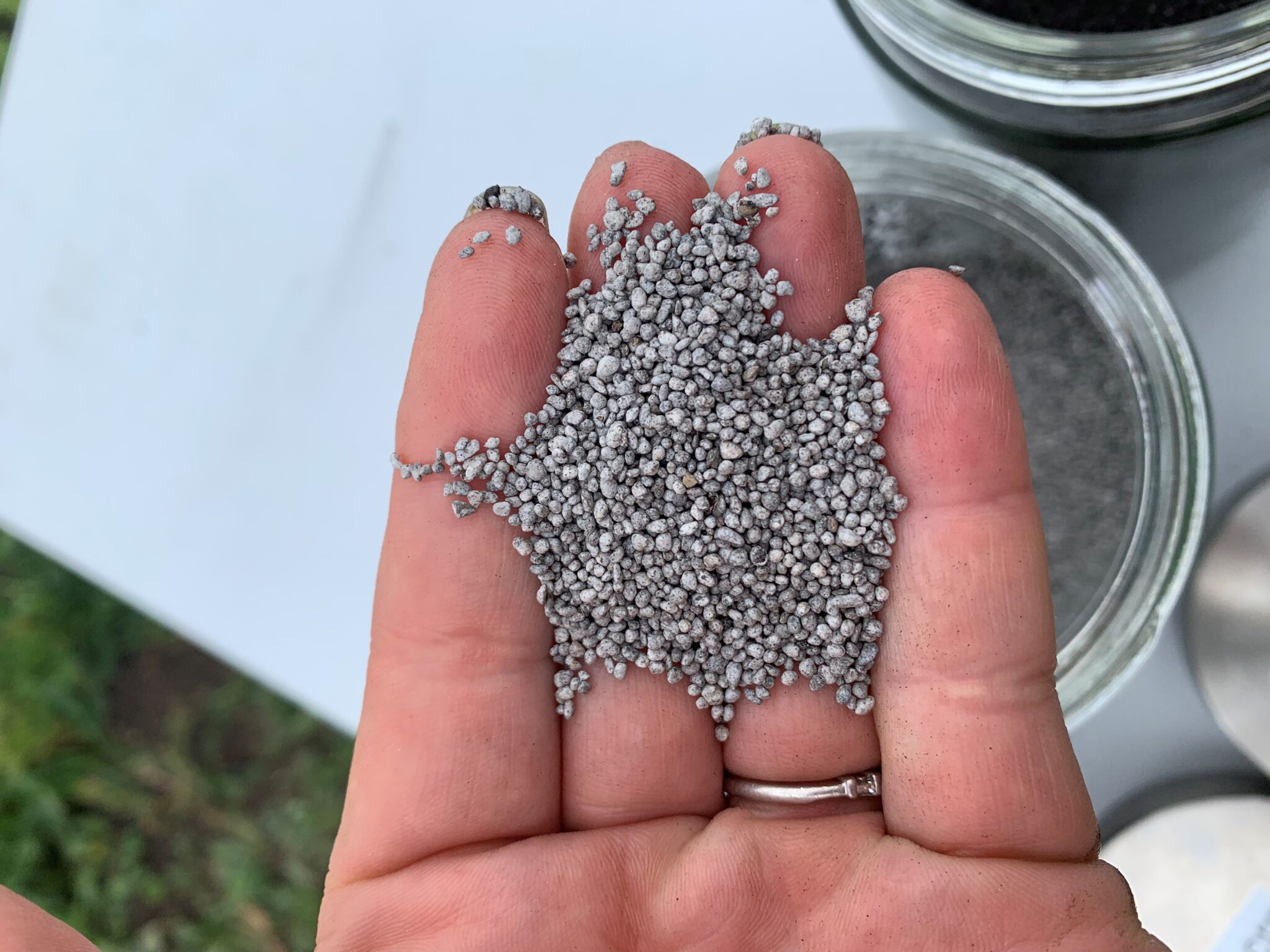 Post-Emergent Herbicide Options for Pulse Crops | Saskatchewan Pulse ...