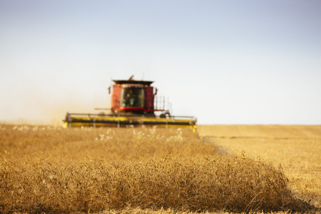 Peas Harvest | Saskatchewan Pulse Growers