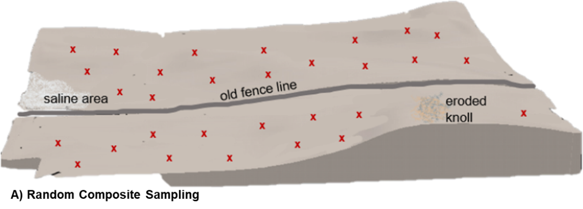 Soil Sampling 101 | Saskatchewan Pulse Growers