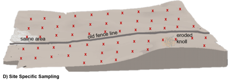 Soil Sampling 101 | Saskatchewan Pulse Growers