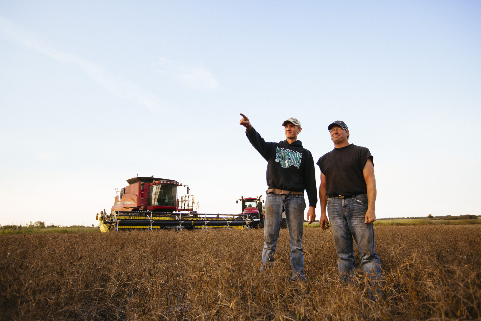 Pea Growth Staging Guide | Saskatchewan Pulse Growers