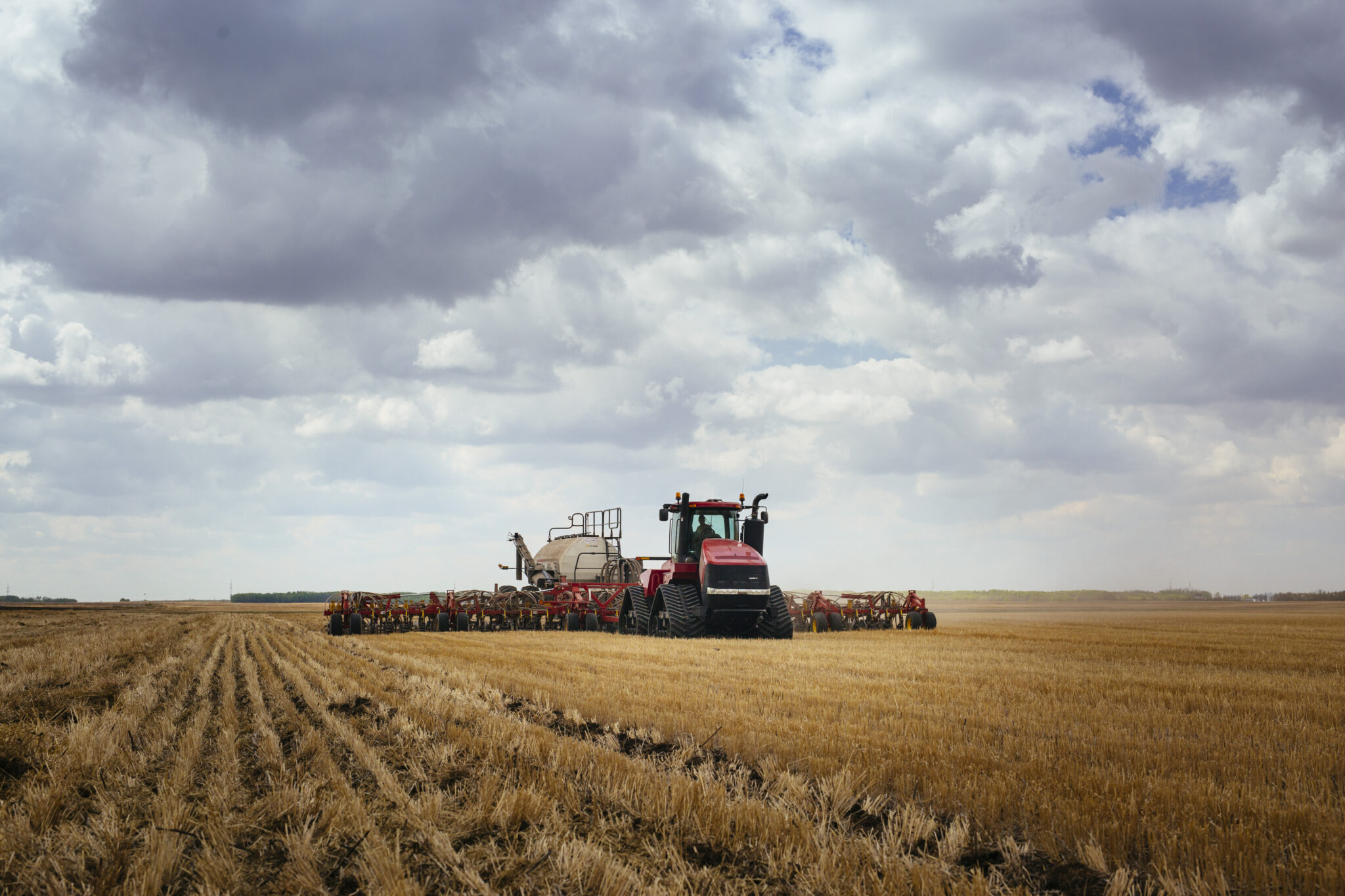 Post-Emergent Herbicide Options for Pulse Crops | Saskatchewan Pulse ...