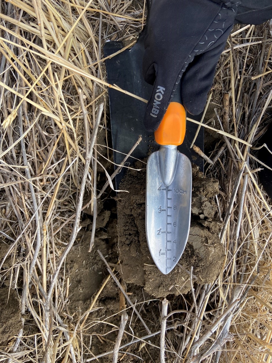 Soil Sampling 101 | Saskatchewan Pulse Growers