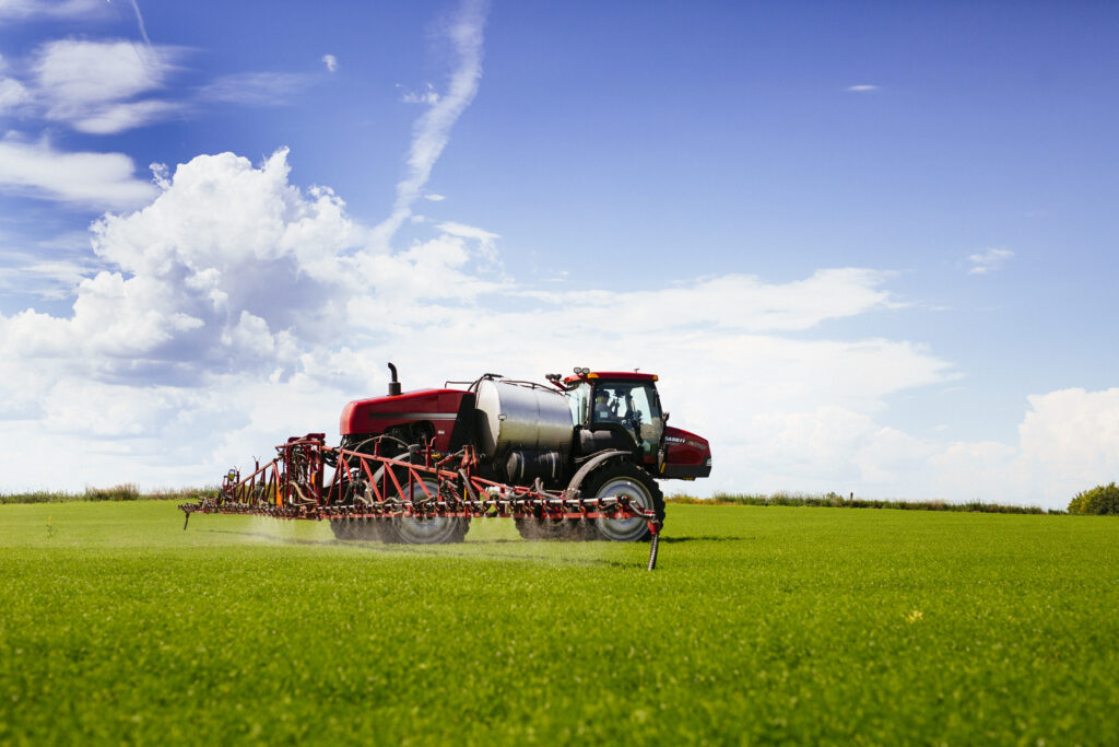 Weeds to Watch: Wild Oats | Saskatchewan Pulse Growers