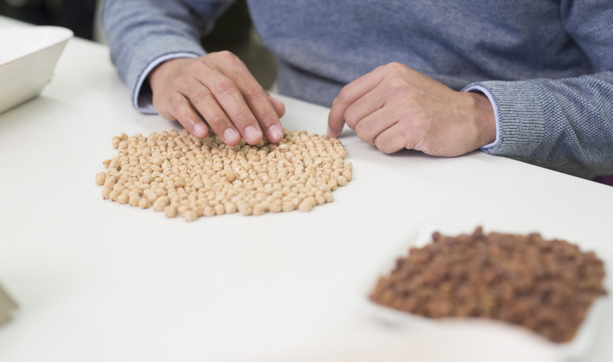 Seed Testing 101 | Saskatchewan Pulse Growers