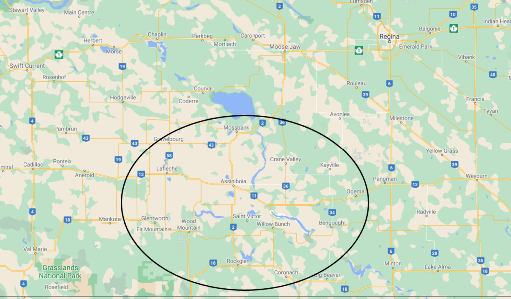 Saskatchewan Chickpea Plant Health Issue: 2020 Report | Saskatchewan ...