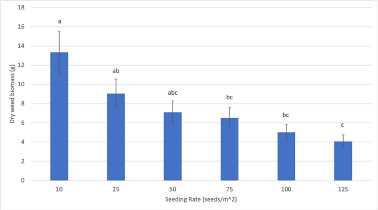 Faba Beans Seeding Rate And Herbicide Considerations For Effective Weed