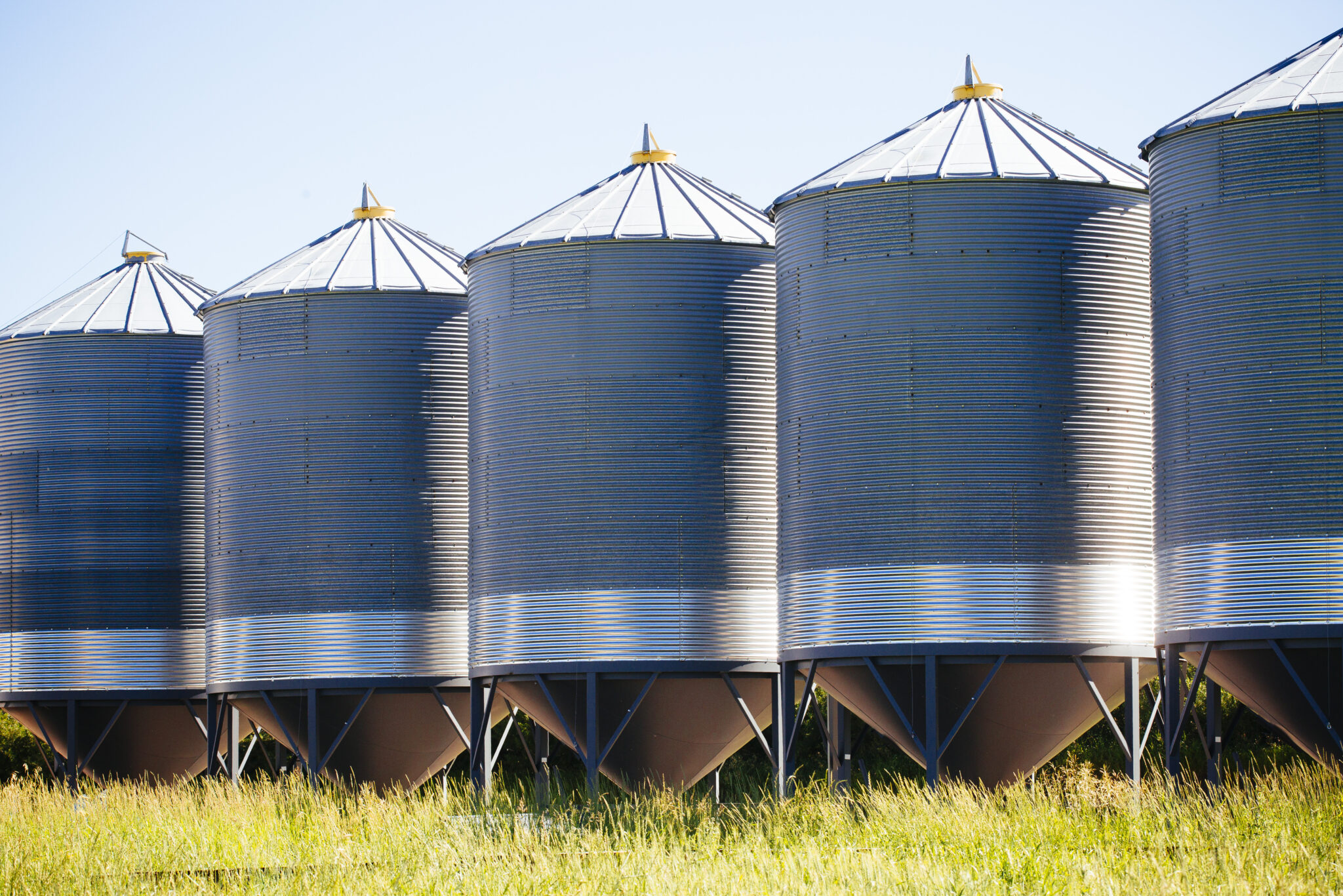 Lentil Reproductive & Maturity Staging Guide | Saskatchewan Pulse Growers