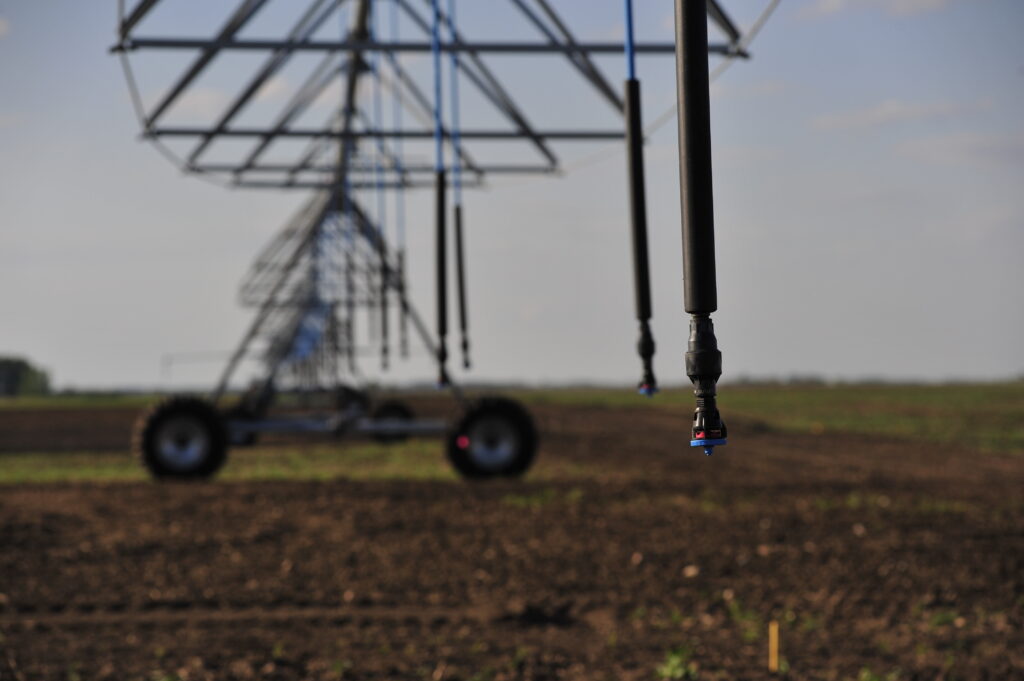 Target Plant Densities for Various Pulse Crops | Saskatchewan Pulse Growers