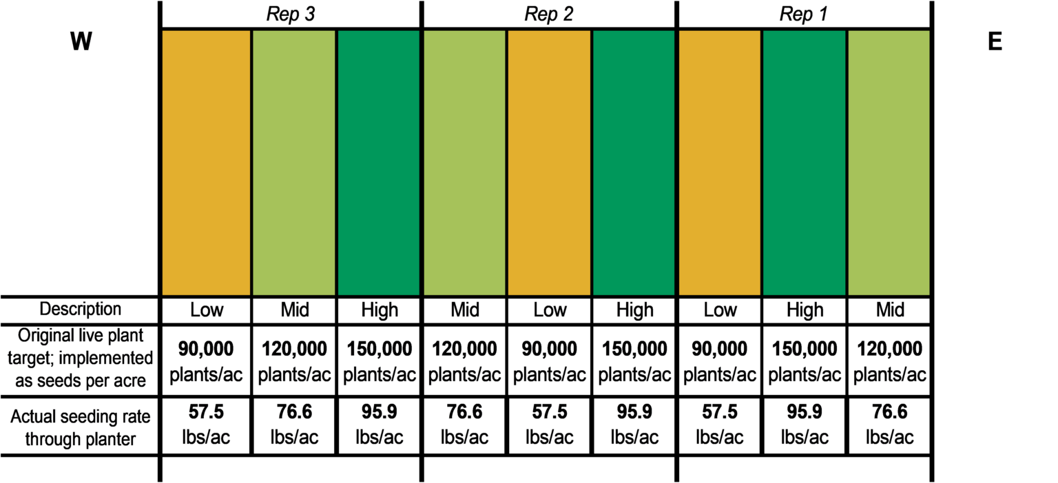 Pulse Replicated On-Farm Independent Trial: Dry bean response to plant ...