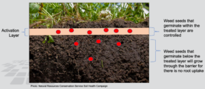 Soil Residual Herbicides in Pulse Crops | Saskatchewan Pulse Growers
