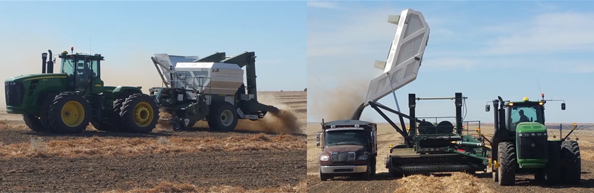 Dry Bean Harvest Management | Saskatchewan Pulse Growers