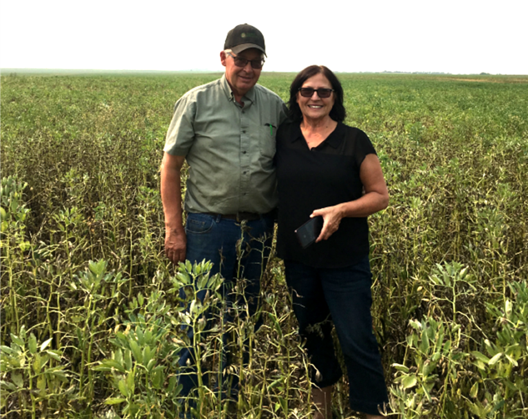 Understanding the Differences Between Faba Beans and Peas ...
