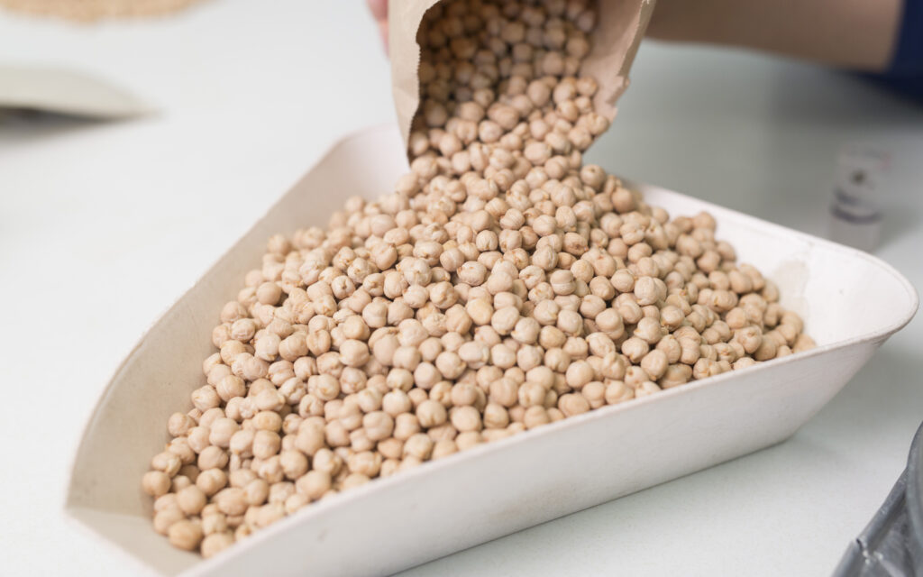 Understanding Forage Pea Varieties | Saskatchewan Pulse Growers