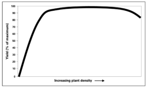 Harvest Losses & Yield Estimations | Saskatchewan Pulse Growers