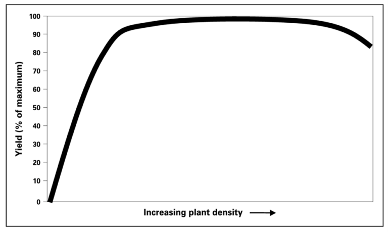 Harvest Losses & Yield Estimations | Saskatchewan Pulse Growers