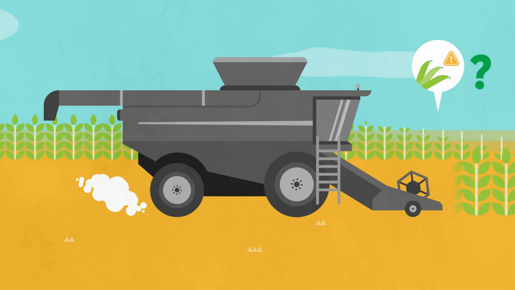 Yield Estimations for Pulse Crops | Saskatchewan Pulse Growers