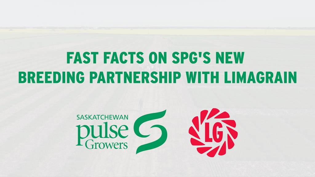 SPG’s New Breeding Partnership with Limagrain: Fast Facts ...