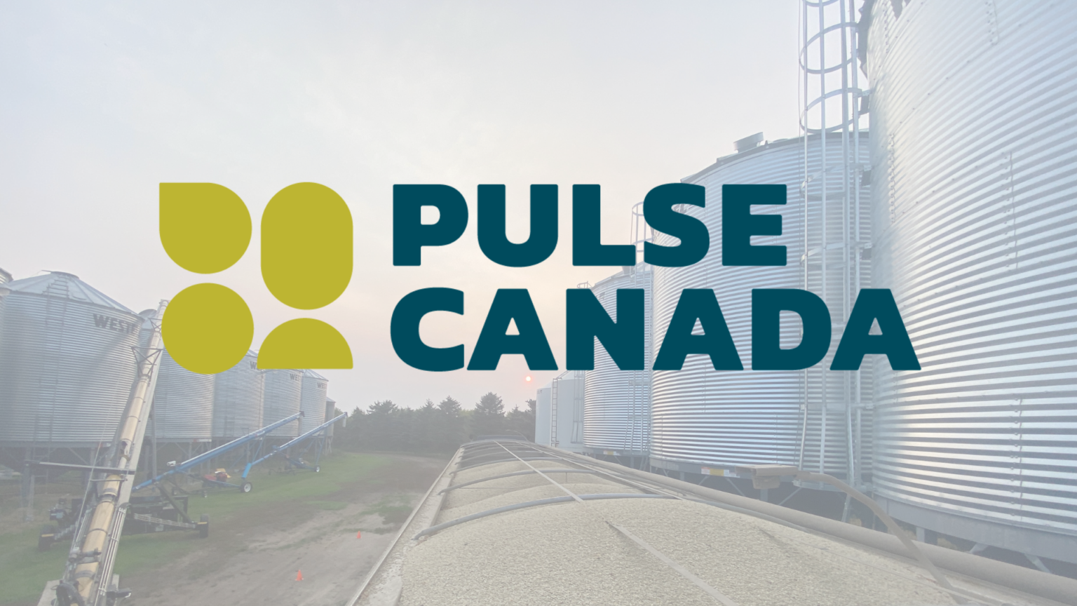 News Archive | Saskatchewan Pulse Growers