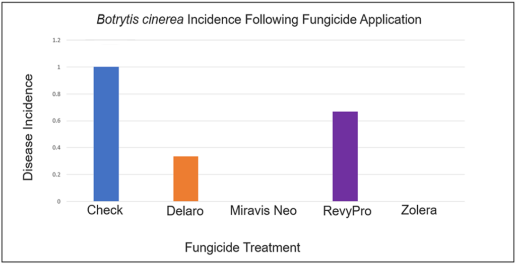 Management of Faba Bean for Optimal Maturity and Reduced Disease ...